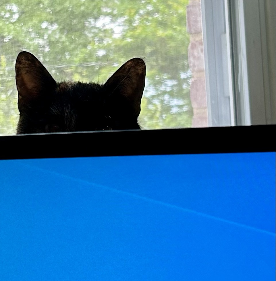 Well managed – Daily Feline Wisdom